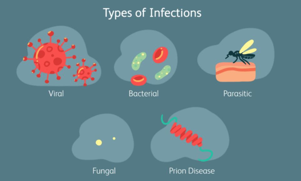 Bioretracts – Infemax Infection Flusher